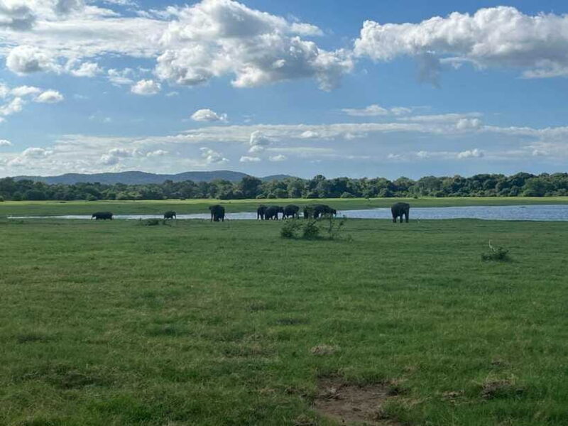 Udawalawe National Park: Private Safari - FAQ