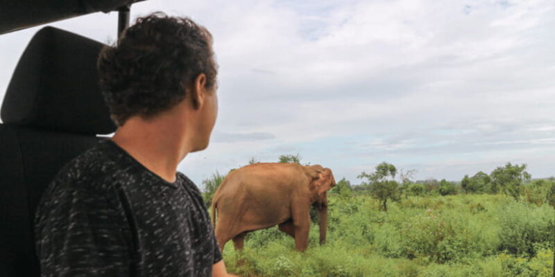 Udawalawe National Park Safari & Elephant Transit Home Visit - The Experience Provider: Ajith Safari Jeep Tours