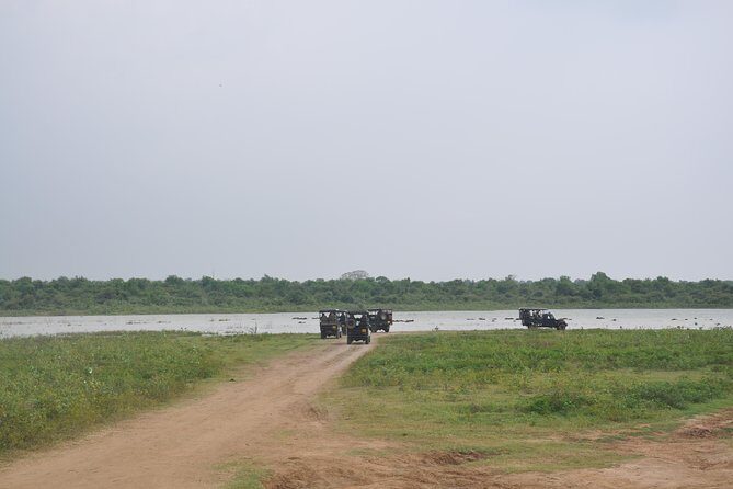 Udawalawe National Park Safari from Bentota - FAQ