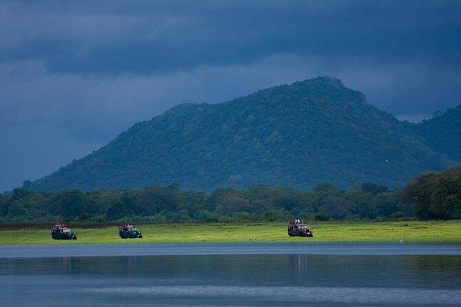 Udawalawe National Park Safari from Kalutara - Key Points