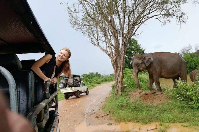 Udawalawe National Park Safari | From Mirissa | Galle | Weligama - Why Choose This Tour?