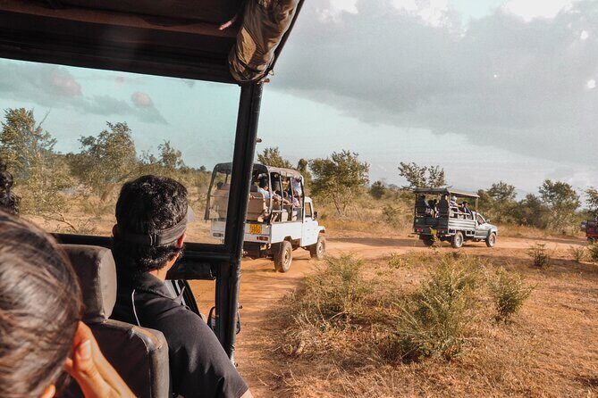 Udawalawe National Park Safari from Panadura - The Sum Up