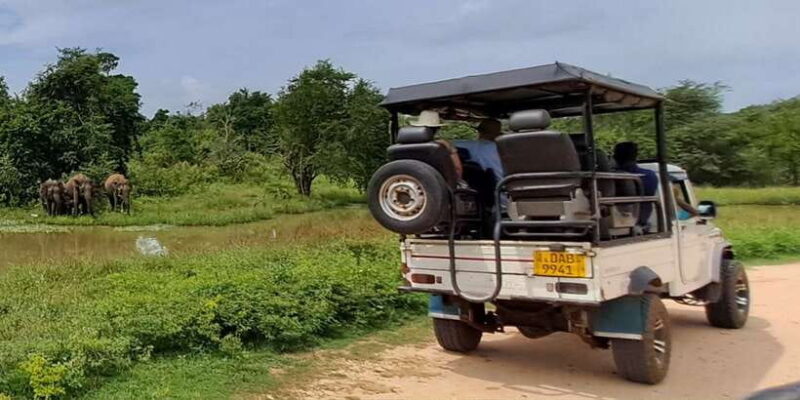 Udawalawe National Park Safari Tour - What to Expect from the Udawalawe Safari