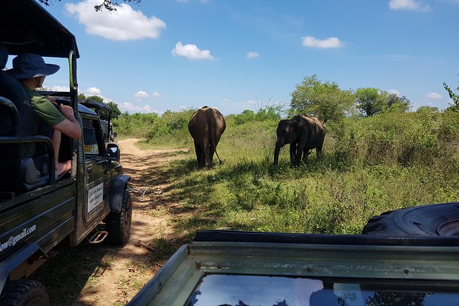 Udawalawe National Park Safari trip from Galle/Mirissa/Ella - FAQ