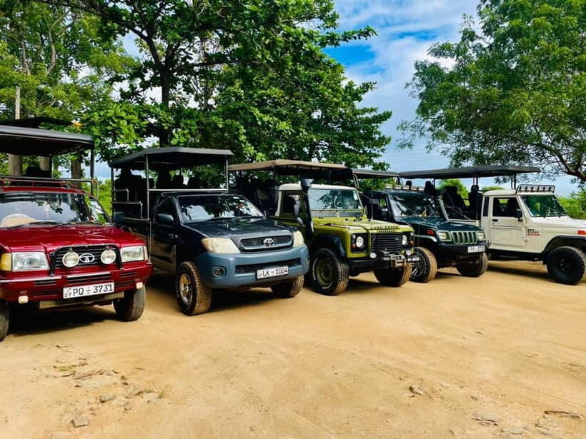 Udawalawe: National Park Safari with Elephant Transit Home - The Itinerary: What’s Included and What to Expect