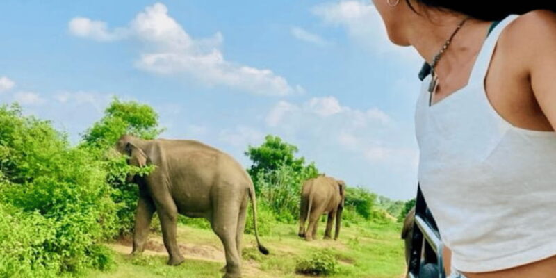 Udawalawe National Park: Safari with Experienced Driver - Key Points