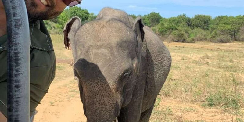 Udawalawe National Park Wildlife Safari from Galle - Visiting Udawalawe from Galle: What to Expect