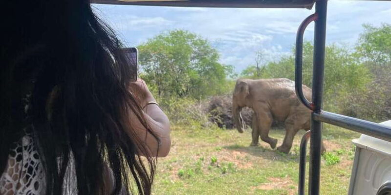 Udawalawe National Park Wildlife Safari from Galle - Final Thoughts