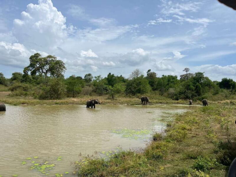Udawalawe National Park Wildlife Safari from Hambantota Port - Frequently Asked Questions