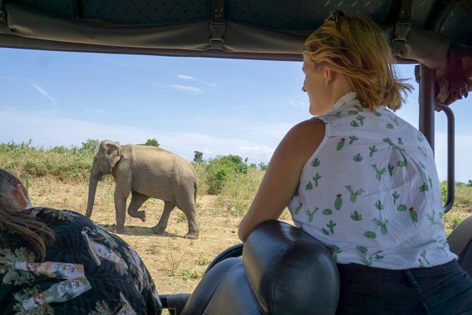Udawalawe National park with Elephant Transit Home From Colombo - Authenticity and Conservation Focus