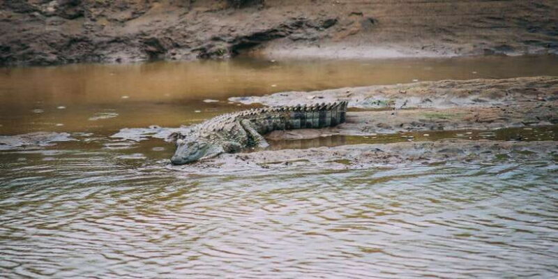 Udawalawe: Private Safari All Inclusive Day Trip with Lunch - The Value of This Experience