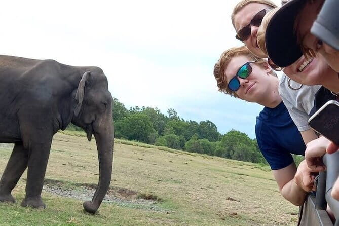 Udawalawe Safari Adventure with Pigeon Island Tours - Key Points
