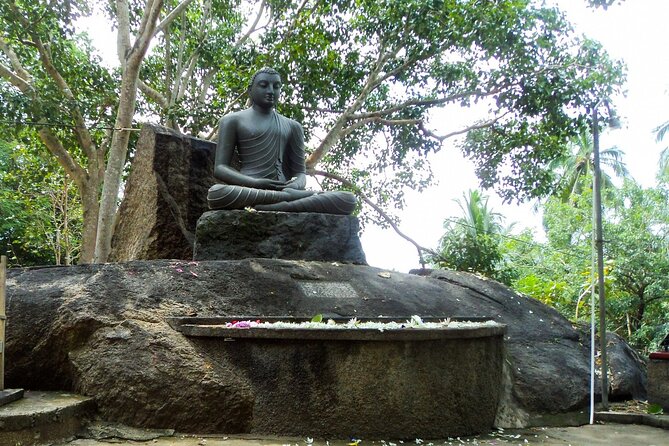 Udawalawe Safari Day Trip with Return Transport - All Inclusive - Frequently Asked Questions