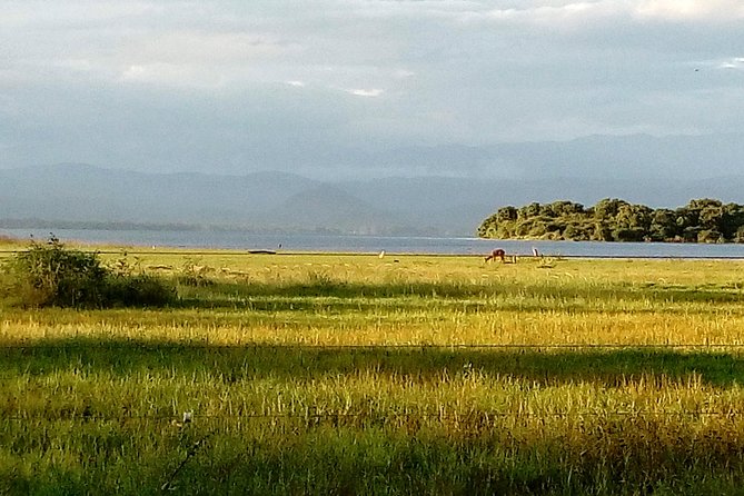 Udawalawe Safari - Private & Customize Tour - Who Should Consider This Tour?