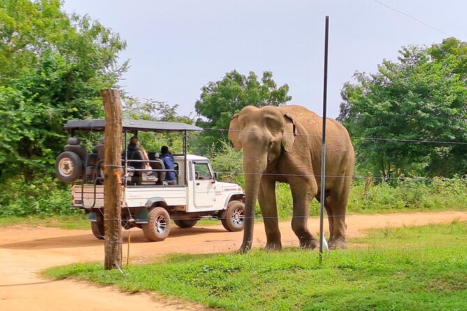 Udawalawe Safari - Private & Customize Tour - FAQs