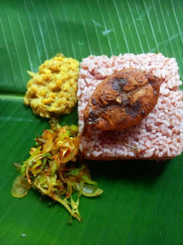 Udawalawe: Udawalawe Cooking experience with local family - Key Points