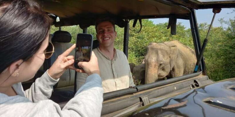 Udawalawe Wild Safari Tours | 7 Hours | All inclusive - Scenic Breakfast with a View