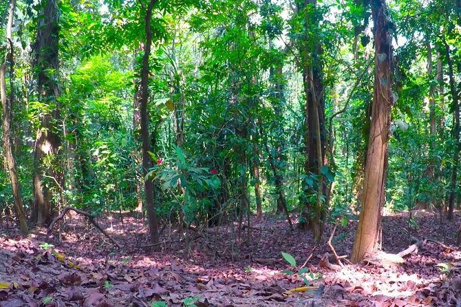 Udawatte Kele Santuary with Nature Walk from Kandy - A Closer Look at the Tour Itinerary