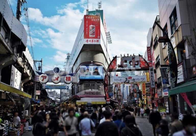 Ueno and Yanaka Day Walking Tour: Culture, Art and Old Tokyo - Cultural Experiences