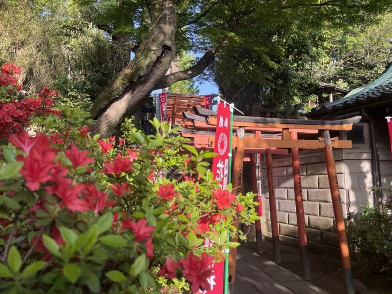 Ueno and Yanaka Day Walking Tour: Culture, Art and Old Tokyo - Local Attractions and Activities