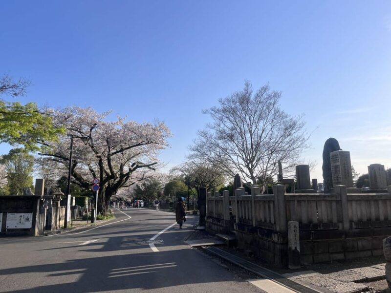 Ueno and Yanaka Day Walking Tour: Culture, Art and Old Tokyo - Tour Logistics