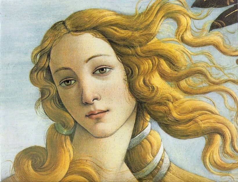 Uffizi and Accademia: Independent Visit with Audio Guide - The Bottom Line