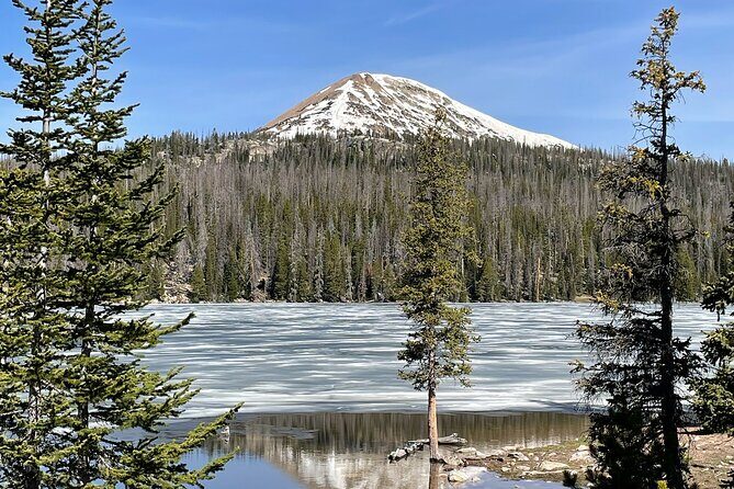Uinta Mountains Birding and Nature Expedition - Authentic Reviews and What They Tell Us
