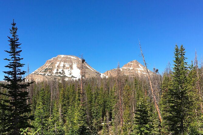 Uinta Mountains Birding and Nature Expedition - FAQ