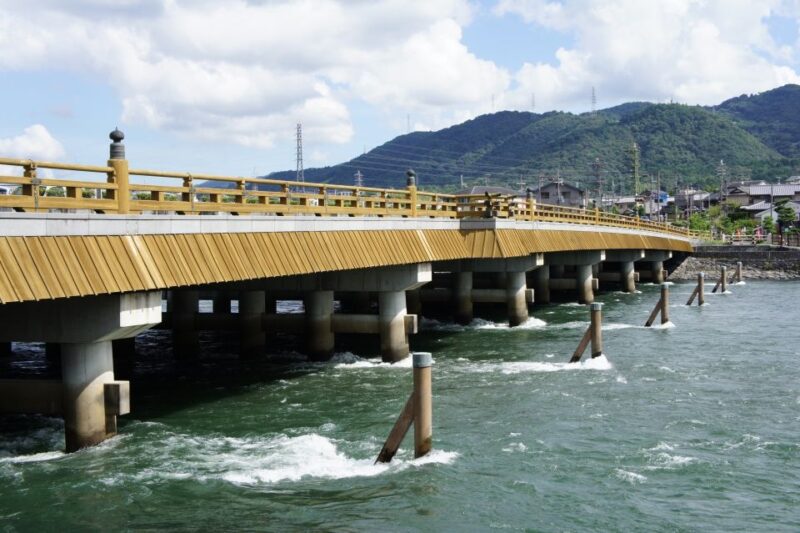 Uji: Green Tea Tour With Byodoin and Koshoji Temple Visits - Tour Logistics and Accessibility