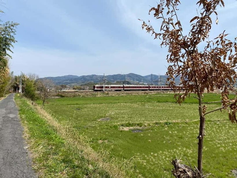 Uji: Tea Ceremony, Calligraphy, and Tea Field Walking Tour - Who Should Consider This Tour?