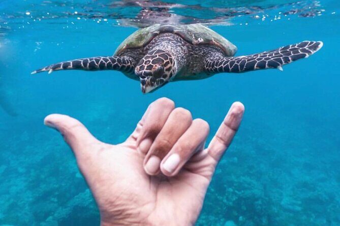 Ukulhas Tour A - 3 Points Snorkeling Tour - In-Depth Breakdown of the Itinerary