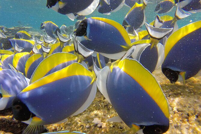 Ukulhas Tour A - 3 Points Snorkeling Tour - Practical Details and Considerations