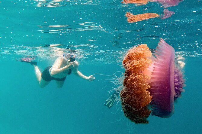 Ukulhas Tour A - 3 Points Snorkeling Tour - FAQs