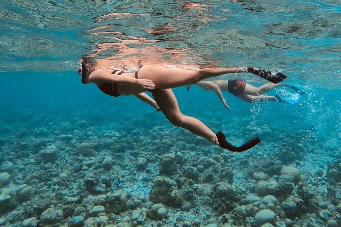 Ukulhas Tour C - Snorkeling & Island Hopping Tour - A Detailed Look at Ukulhas Tour C
