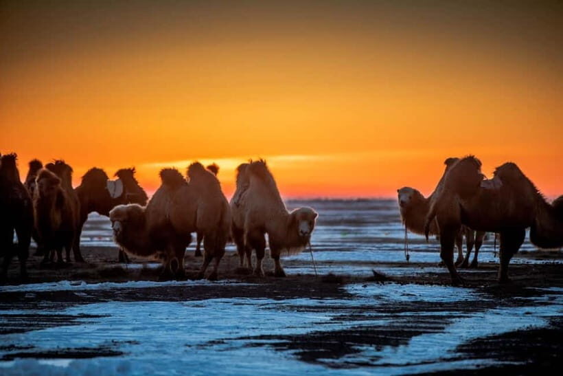Ulaanbaatar: 4-Day Central Mongolia Winter Tour - Exploring the Arctic-like Landscape of Elsen Tasarkhai