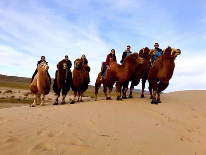 Ulaanbaatar: Semi-Gobi Desert Day Trip & Camel Ride - Value and Cost Analysis