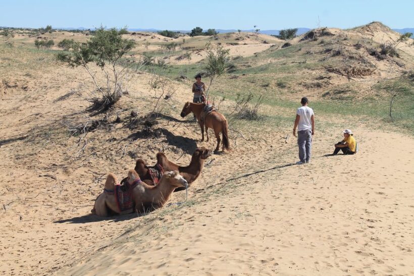 Ulaanbaatar: Semi-Gobi Desert Day Trip & Camel Ride - Authenticity and Experience
