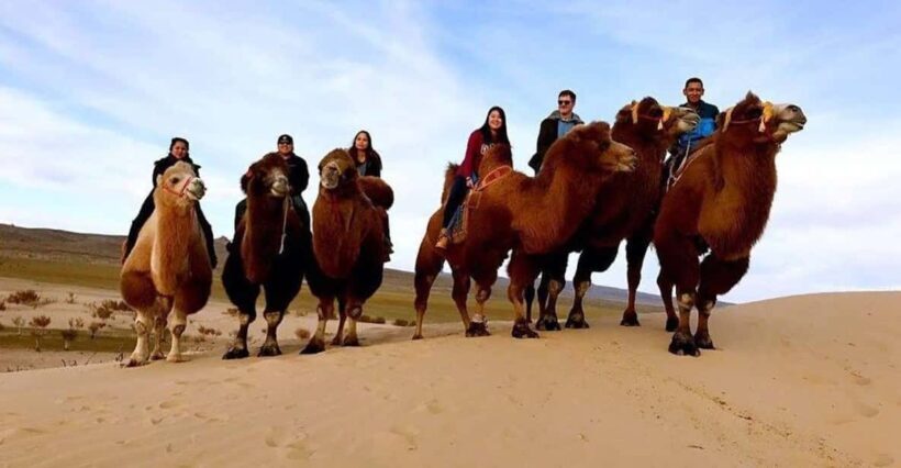 Ulaanbaatar: Semi-Gobi Desert Day Trip & Camel Ride - Final Recommendations