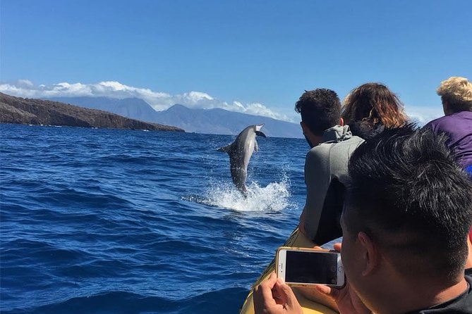 Ultimate 4 Hour Lanai Snorkel and Dolphin Encounter - Why It Offers Great Value