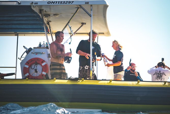 Ultimate 4 Hour Lanai Snorkel and Dolphin Encounter - Considerations to Keep in Mind