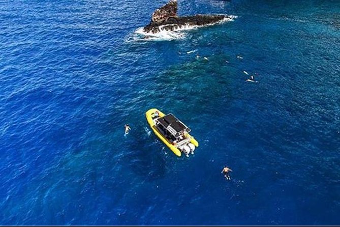 Ultimate 4 Hour Lanai Snorkel and Dolphin Encounter - FAQ