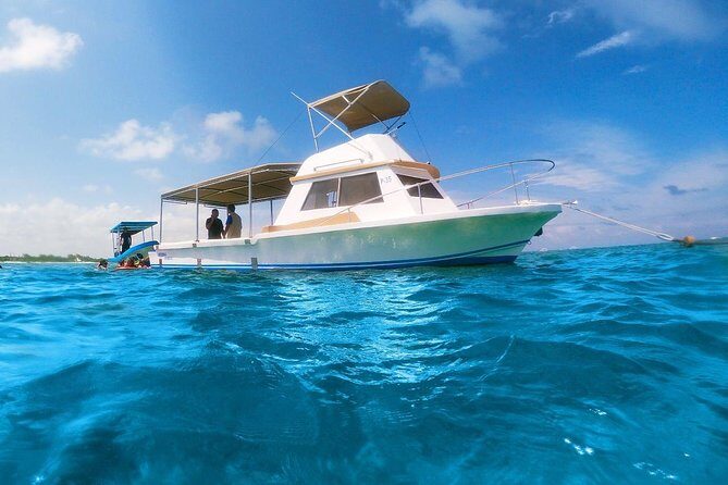 Ultimate 5x1 Combo with ATV, Ziplines, Cenote & Reef Snorkeling - A Closer Look at the Itinerary