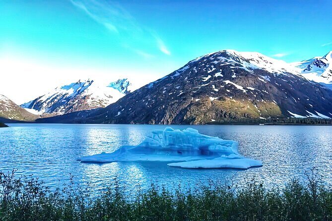 Ultimate Anchorage and Turnagain Arm Private Full Day Tour - Who Is This Tour Best For?