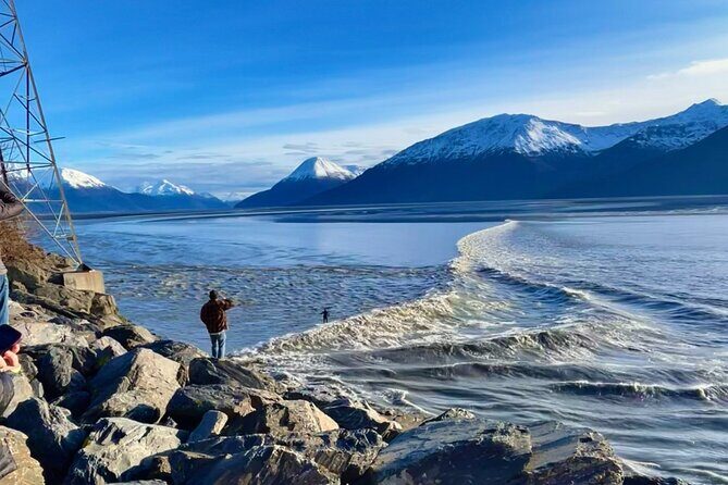 Ultimate Anchorage Summer Wildlife Tour - Practical Details and Value