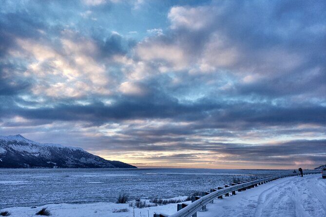 Ultimate Anchorage Winter Wildlife & Sunset Tour - Interpreting the Value: What You Really Get