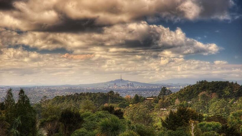 Ultimate Auckland Experience Full Day Tour with Lunch - Authentic Experiences and Unique Highlights