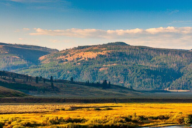 Ultimate Audio Tours: Yellowstone, Glacier, Grand Teton & Banff - Final Thoughts
