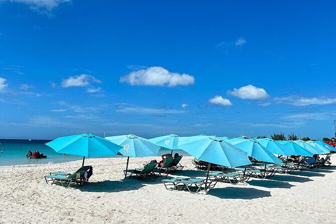 Ultimate Barbados Beach Day And Snorkel Cruise - Setting the Scene: An Overview of the Tour