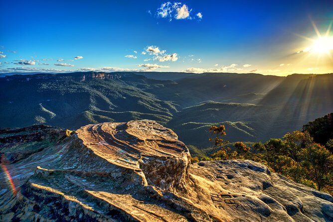 Ultimate Blue Mountains and Wildlife Tour - An Honest Look at the Blue Mountains and Wildlife Tour