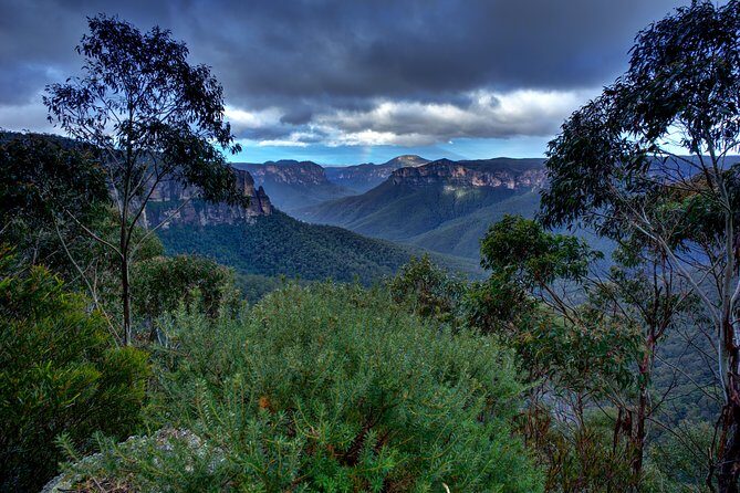 Ultimate Blue Mountains and Wildlife Tour - The Sum Up: Who Should Book This Tour?